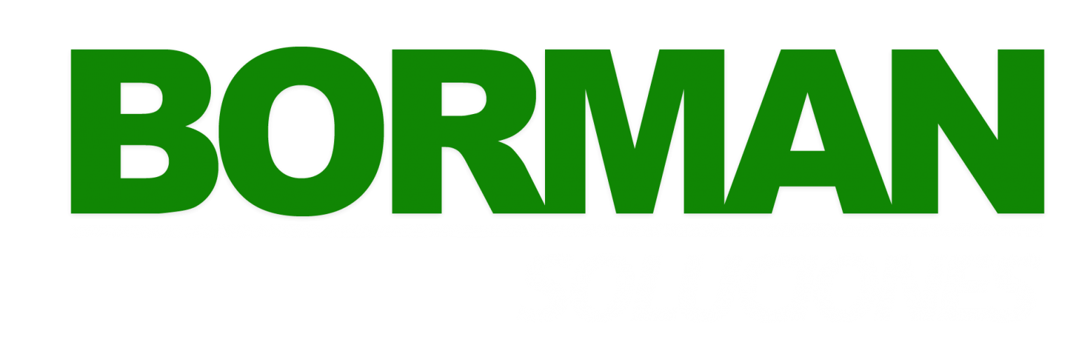 Seguridad Electrónica - borman.cl